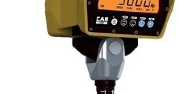 CCB Cas crane scale