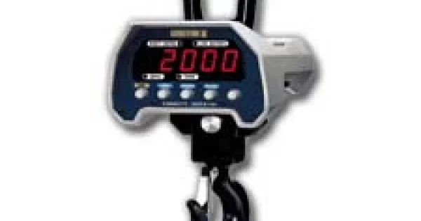 Caston-2 Cas crane scale