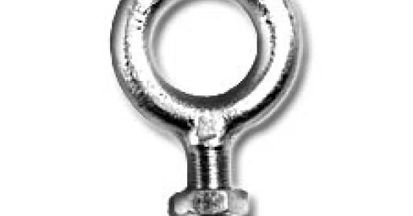 2-12 Eye bolt w/jam nut
